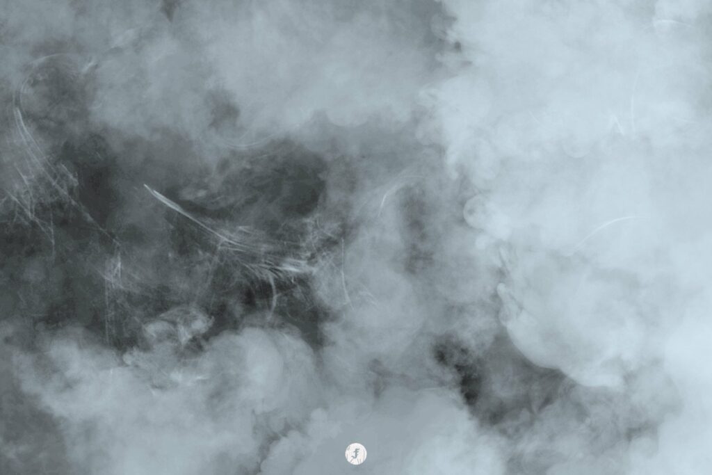 Procreate Stamp Brushes Collection Masterbundles