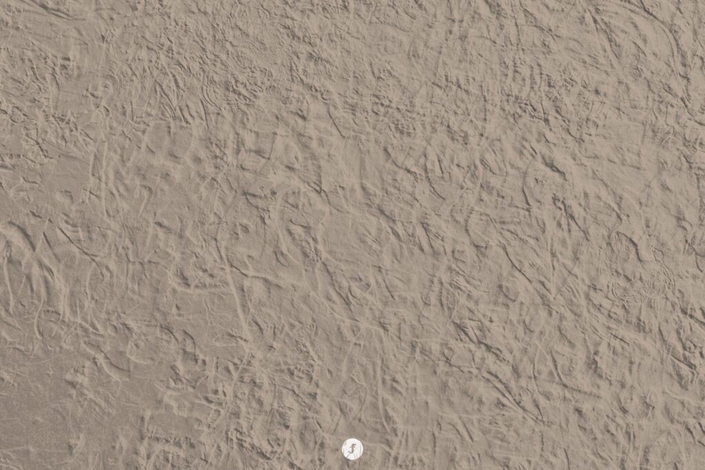 Procreate Stamp Brushes Collection – MasterBundles