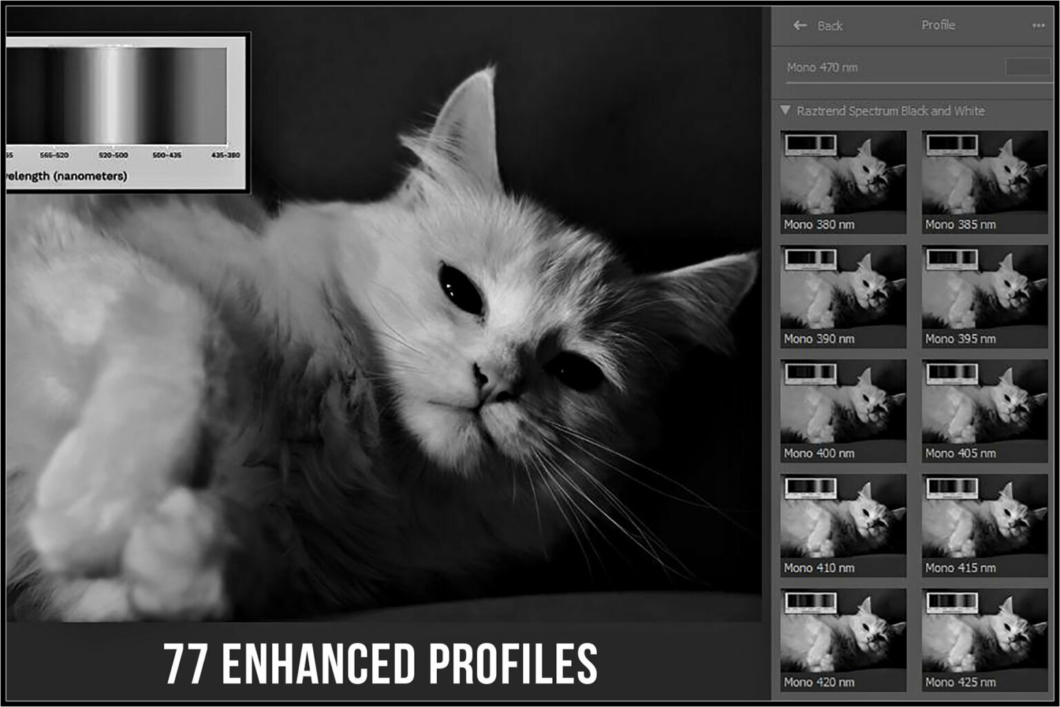 Spectrum Black and White profiles – MasterBundles