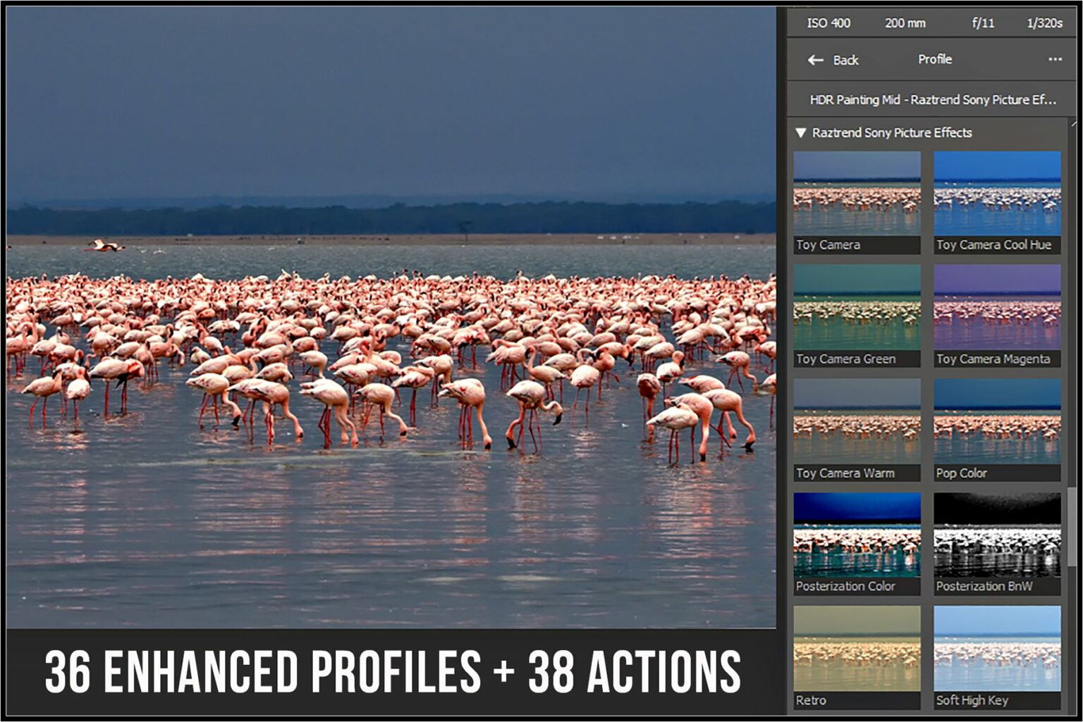 Sony Picture Effects Profiles – MasterBundles