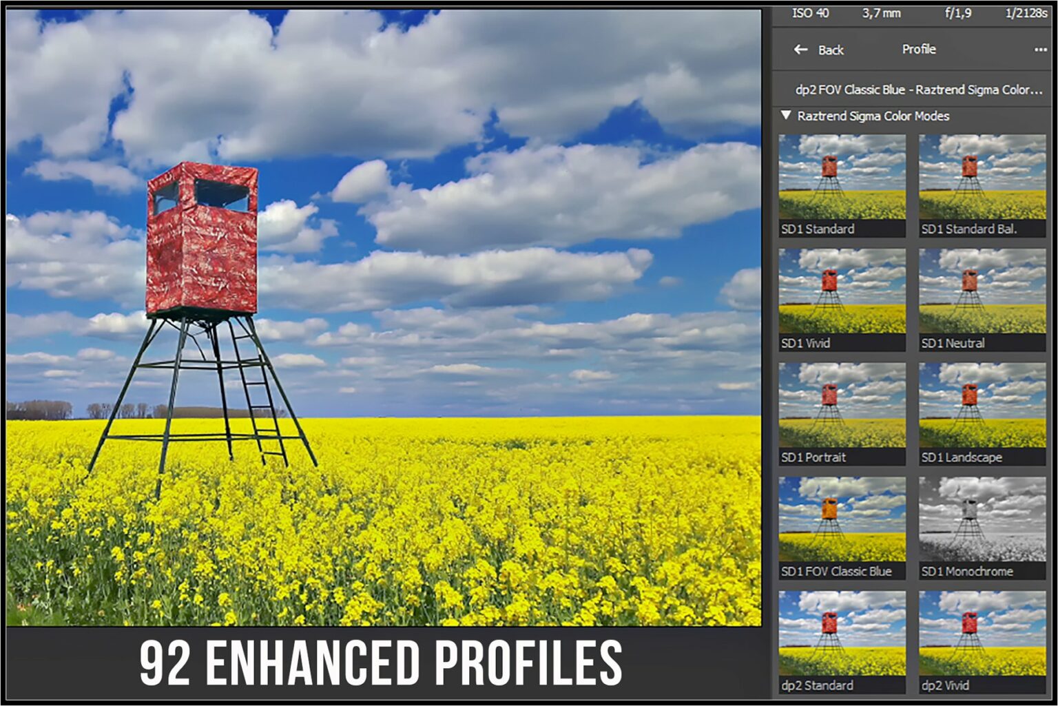 Sigma Color Modes profiles – MasterBundles