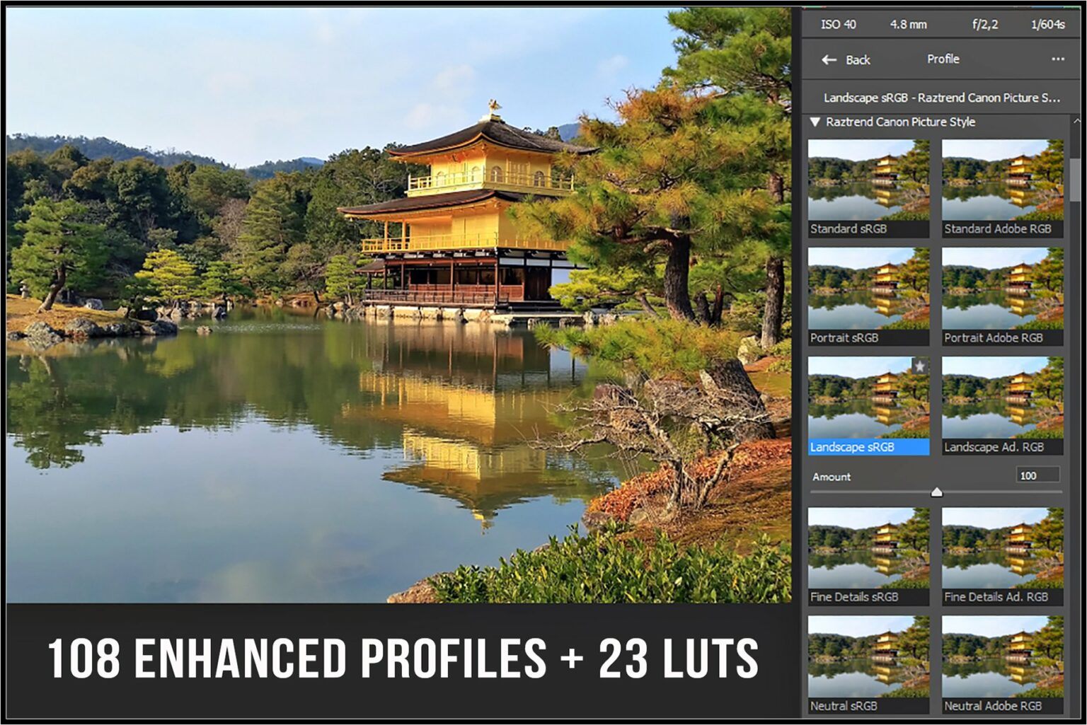 Canon Picture Styles Profiles – MasterBundles