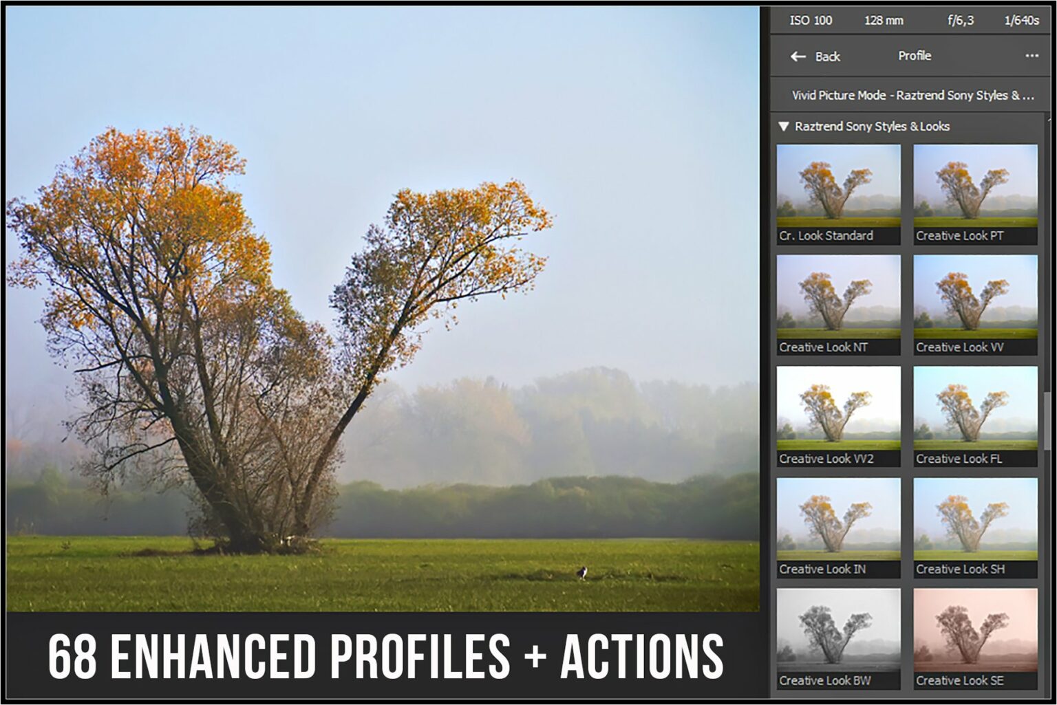 Sony Creative Styles & Looks – MasterBundles