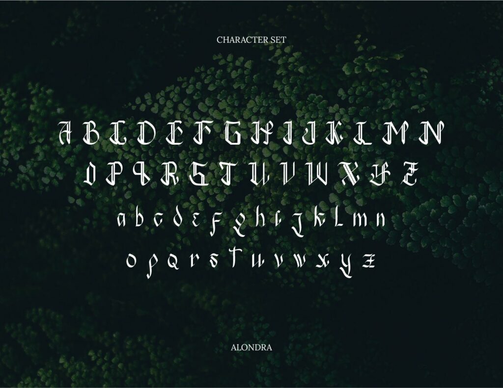Alondra Handwritten Font – MasterBundles