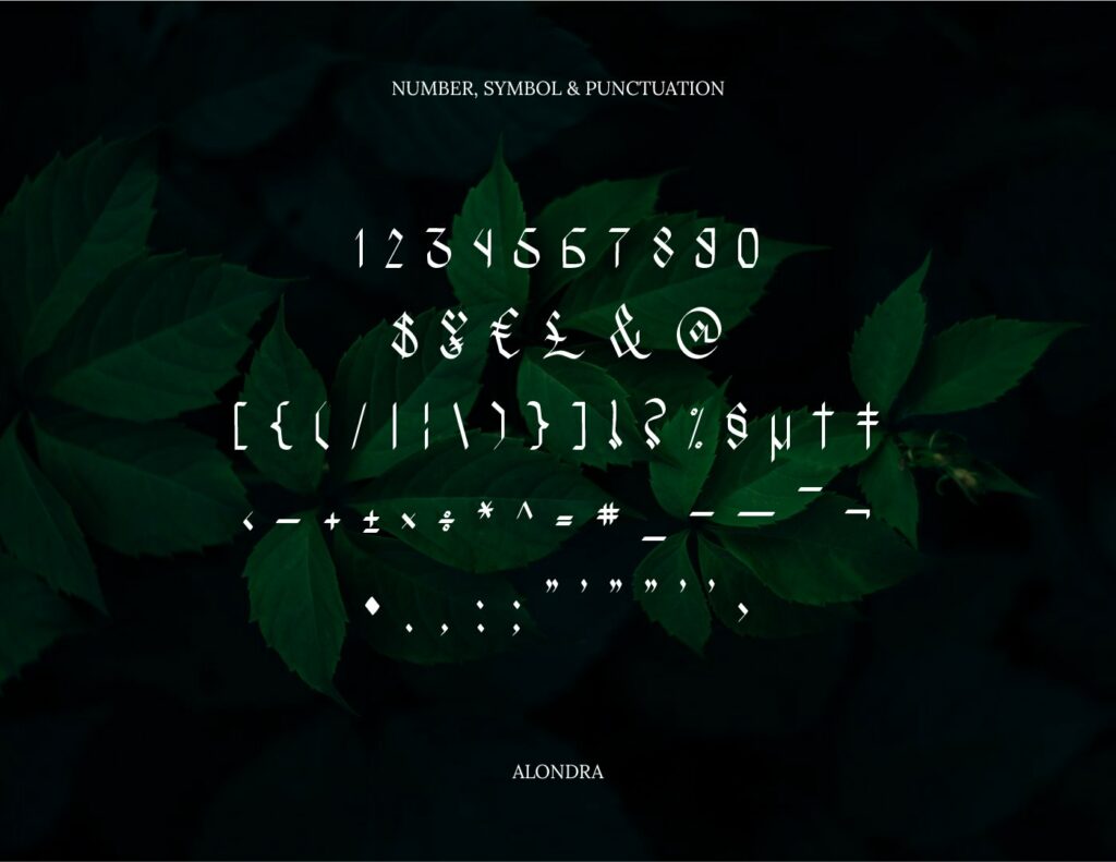 Alondra Handwritten Font – MasterBundles