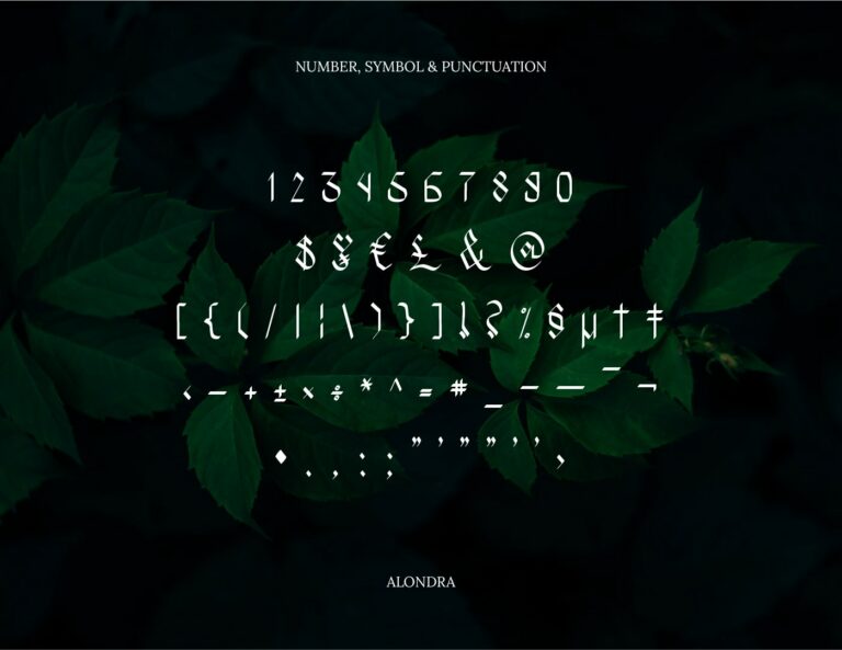 Alondra Handwritten Font – MasterBundles