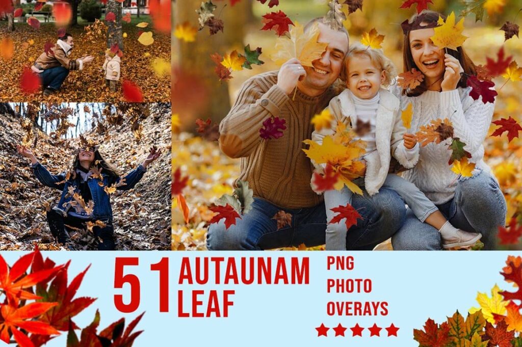 51 Autumn Leaves Photo Overlay PNG – MasterBundles