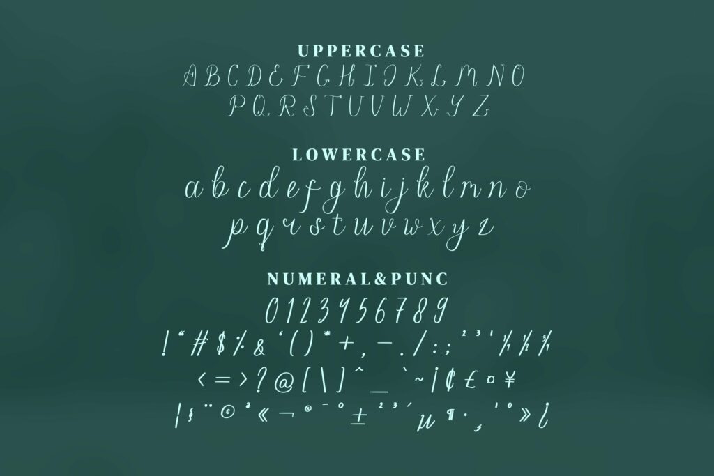 Rittani Script Fonts – MasterBundles