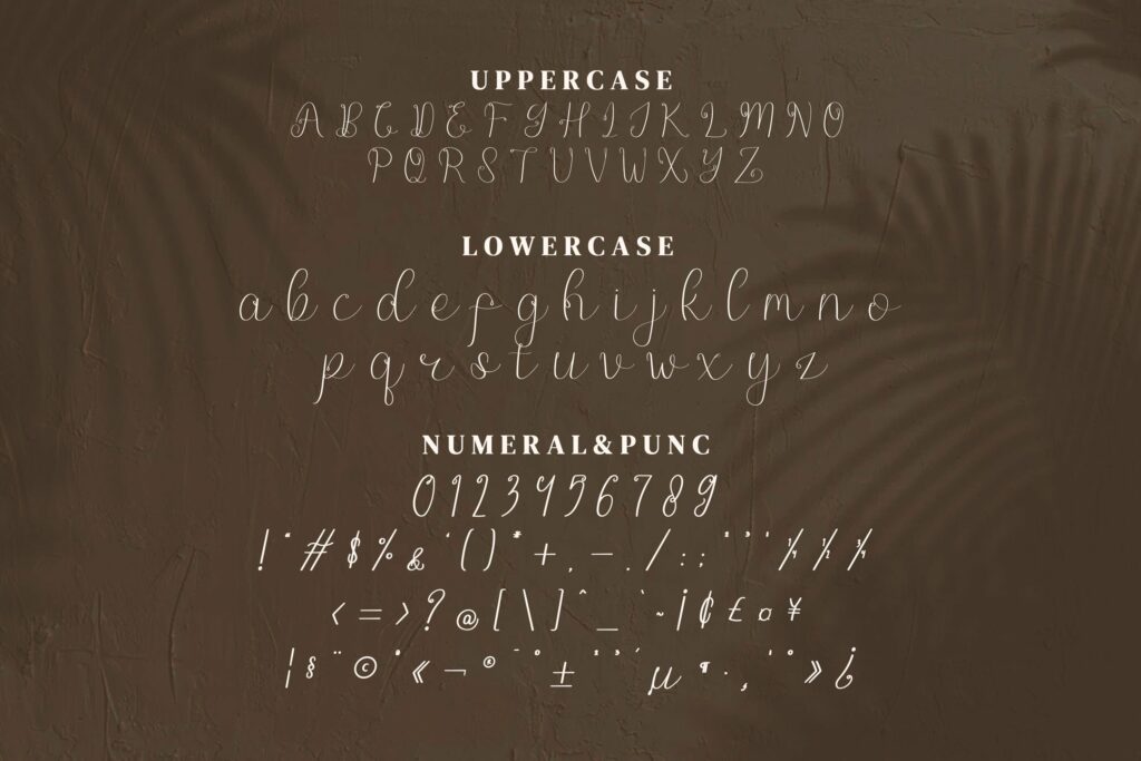 Roccila Script Fonts – MasterBundles