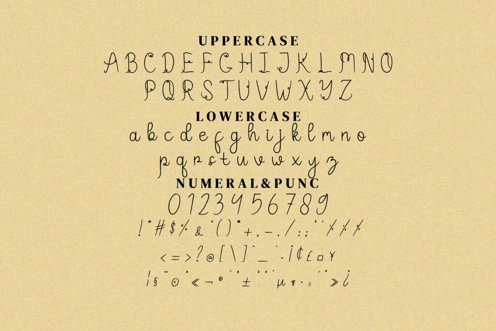 Ratilla Script Fonts – MasterBundles