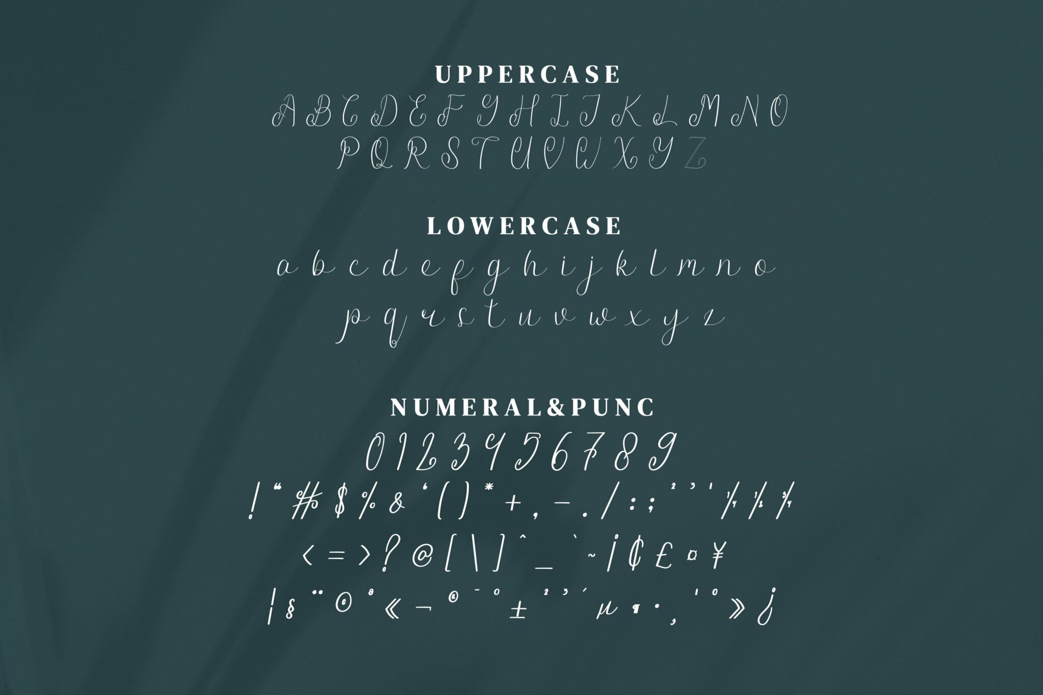 Offsite Script Fonts – MasterBundles