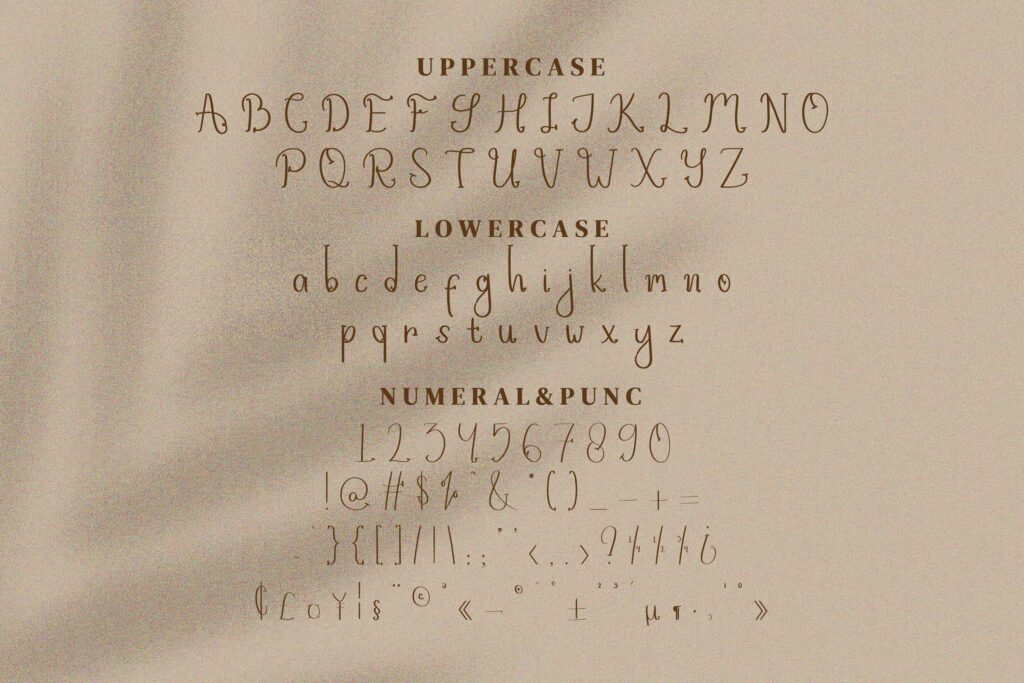 Hayletta Script Fonts – MasterBundles