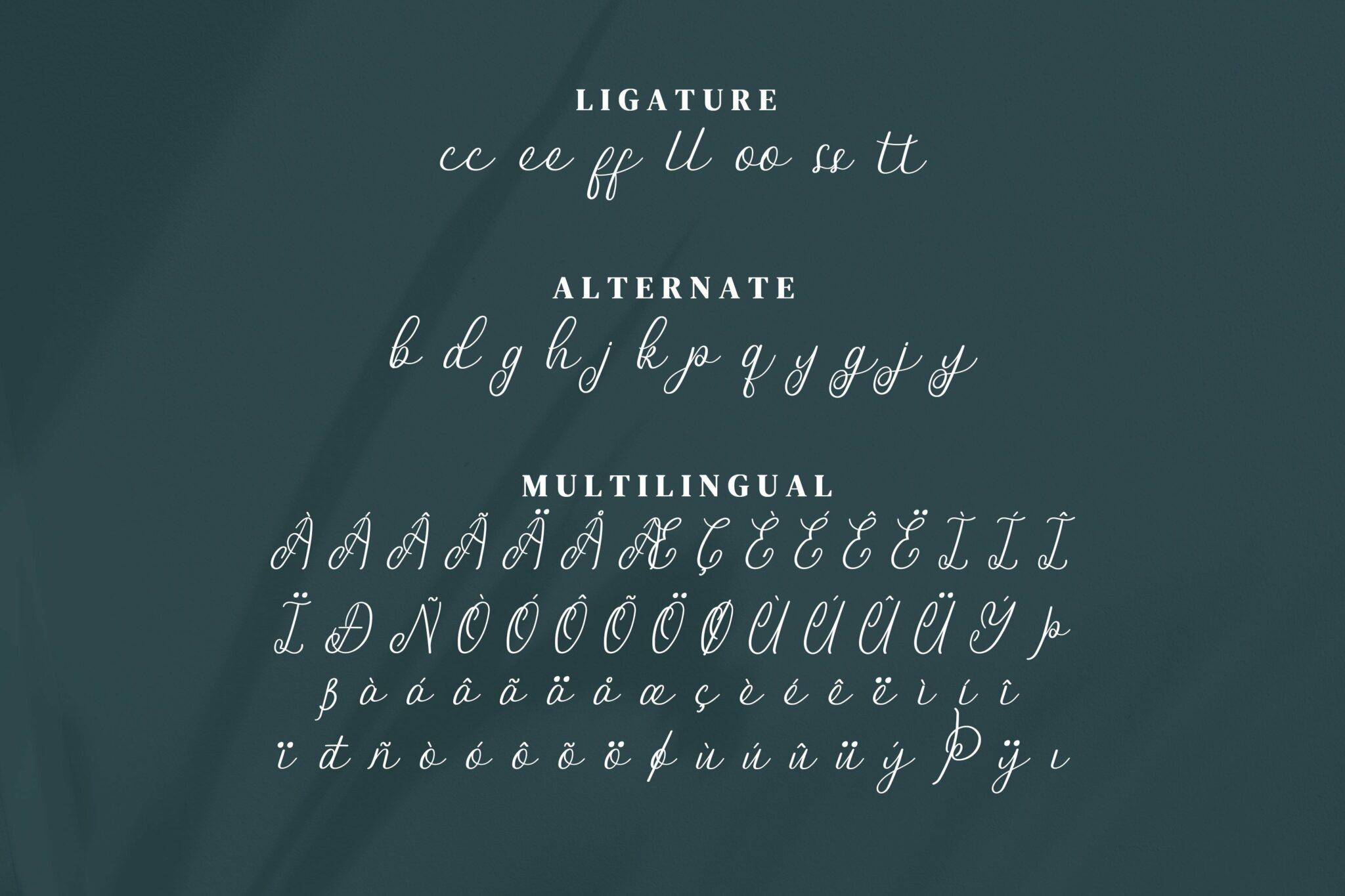Offsite Script Fonts – MasterBundles
