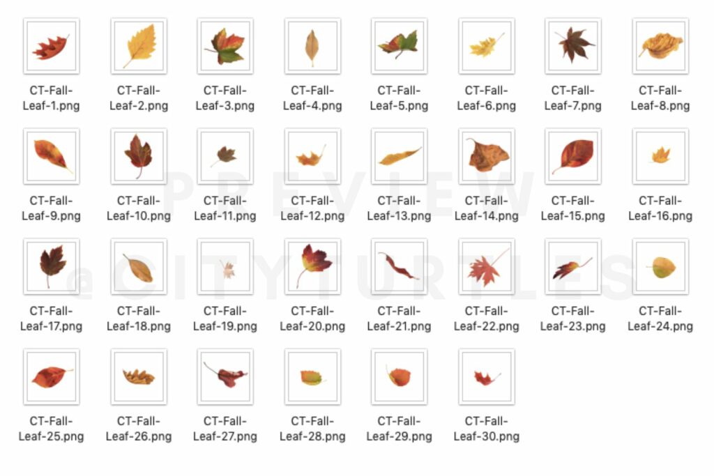70 Natural Falling Leaf Overlays – MasterBundles