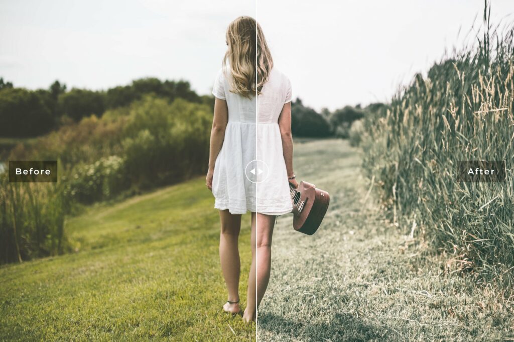 Cedar Pro Lightroom Presets – MasterBundles