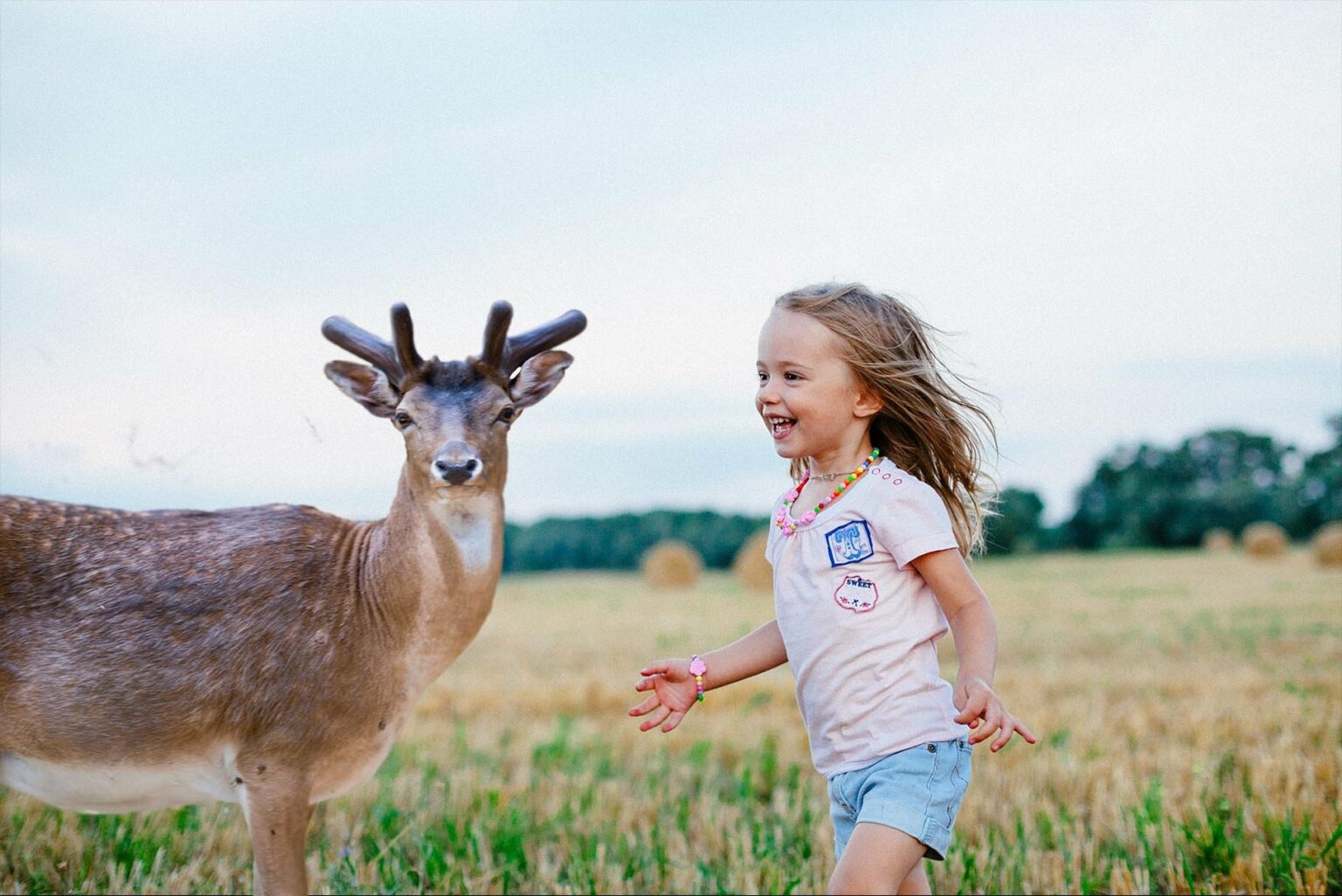 30 Deer Photoshop Overlays – MasterBundles