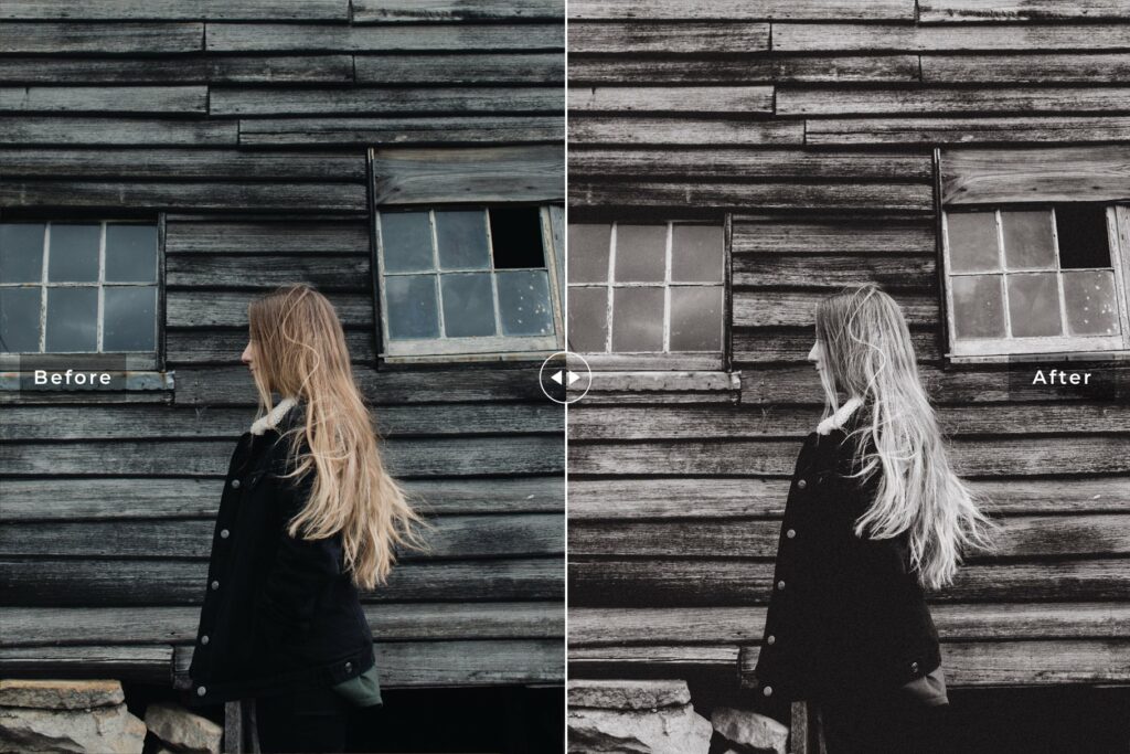 Neopan Pro Lightroom Presets – MasterBundles