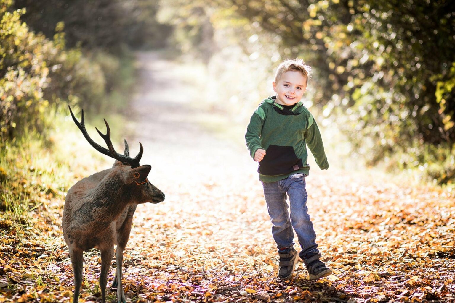 30 Deer Photoshop Overlays – MasterBundles