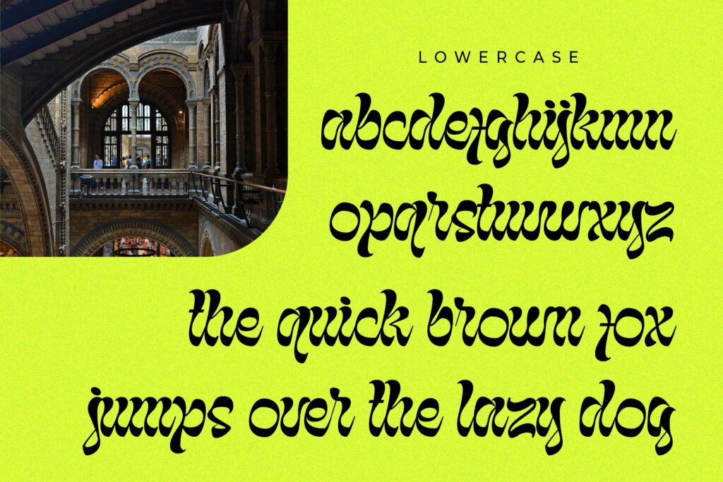 HOLY WISDOM Reverse Contrast Script – MasterBundles