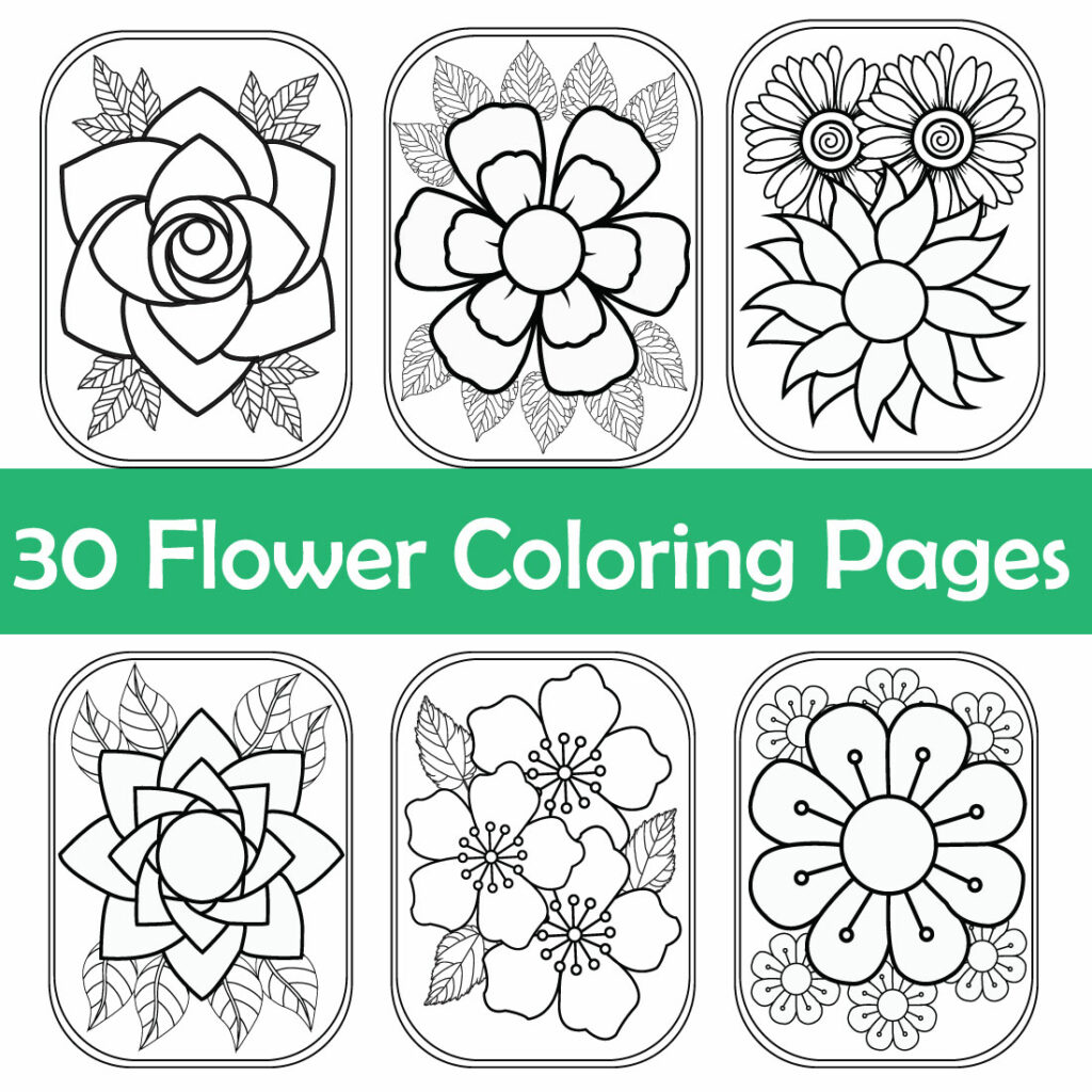 30 Flower Coloring Pages - MasterBundles