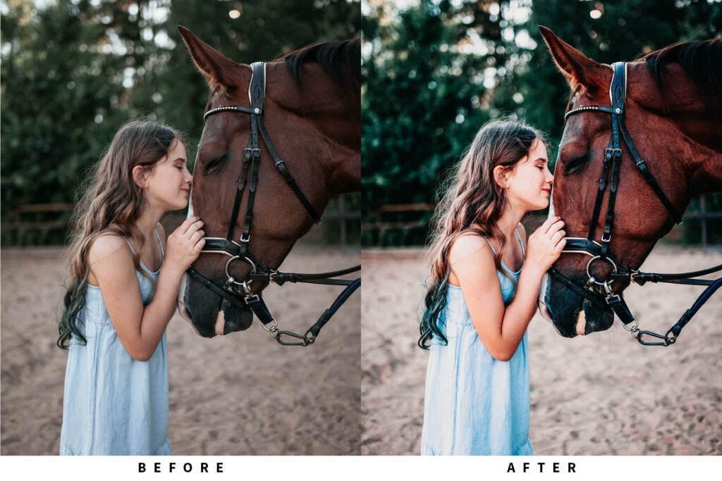 10 Matte Tone Lightroom Presets – MasterBundles
