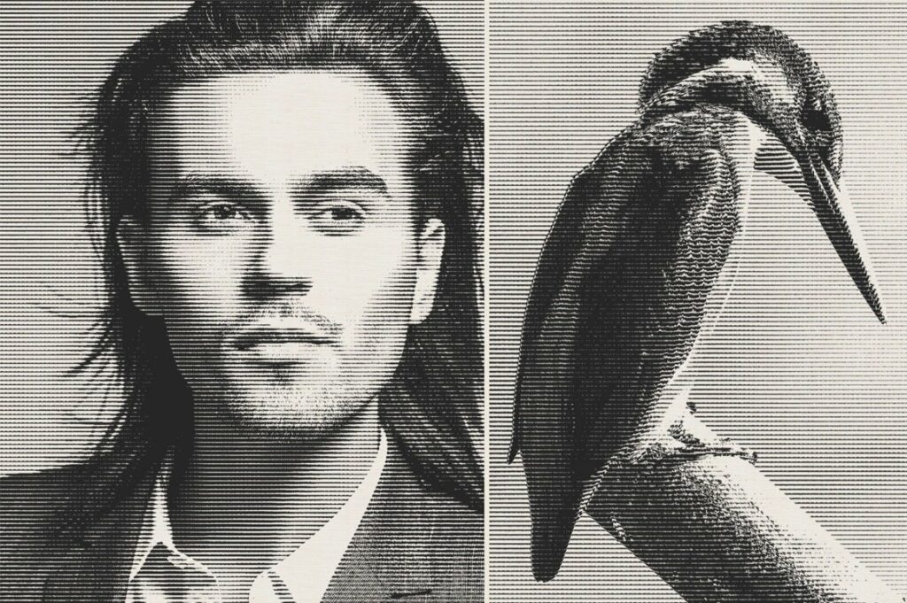 Money Engraving Photoshop Action – MasterBundles