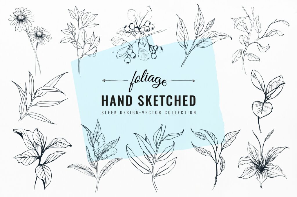 Foliage Hand Drawn – MasterBundles