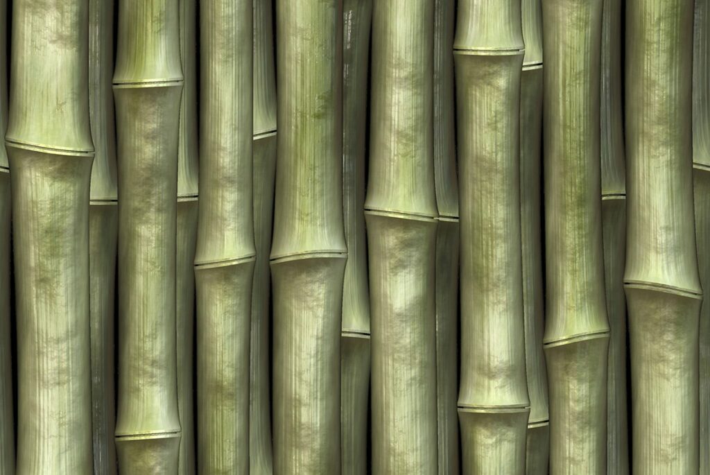 Bamboo Textures – MasterBundles