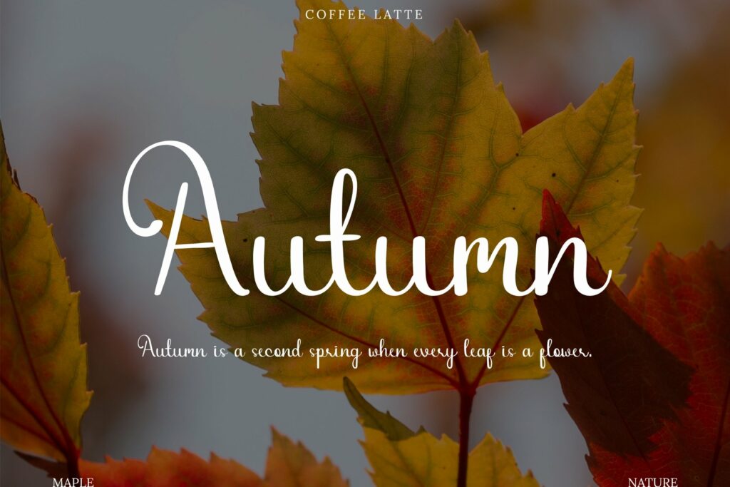 Coffee Latte Script – MasterBundles