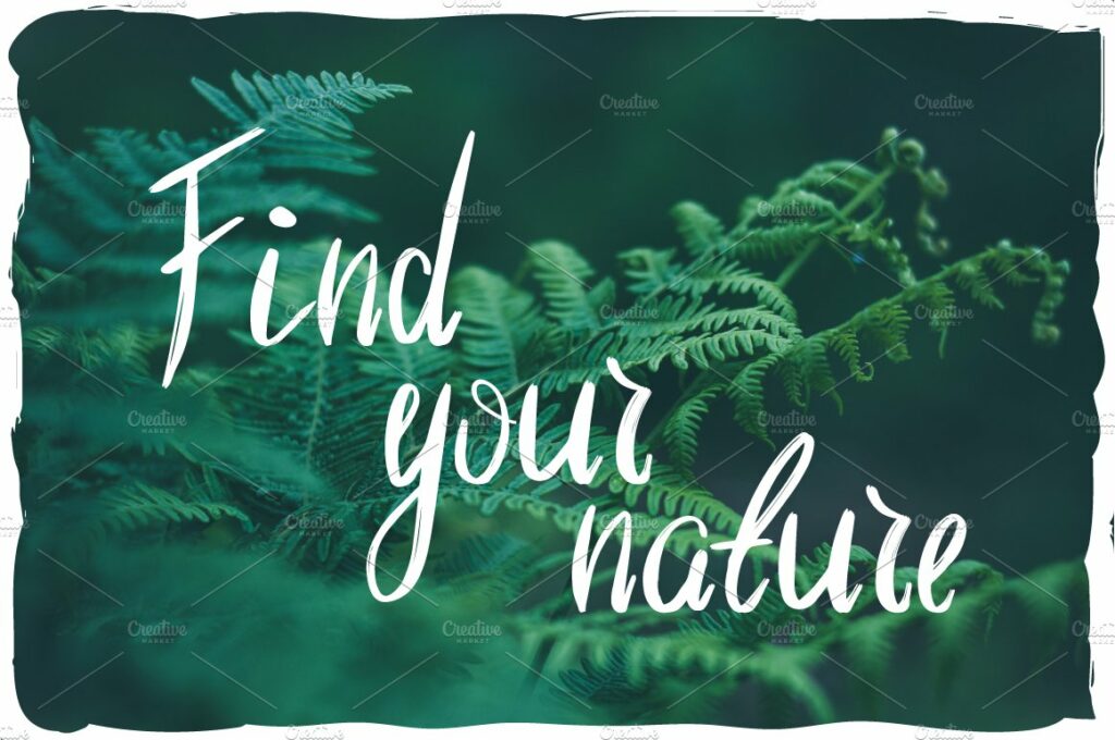 Wild Nature Script Typeface – MasterBundles