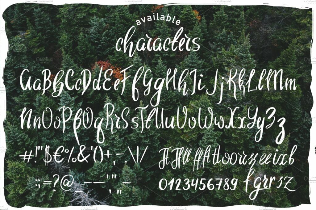 Wild Nature Script Typeface – MasterBundles