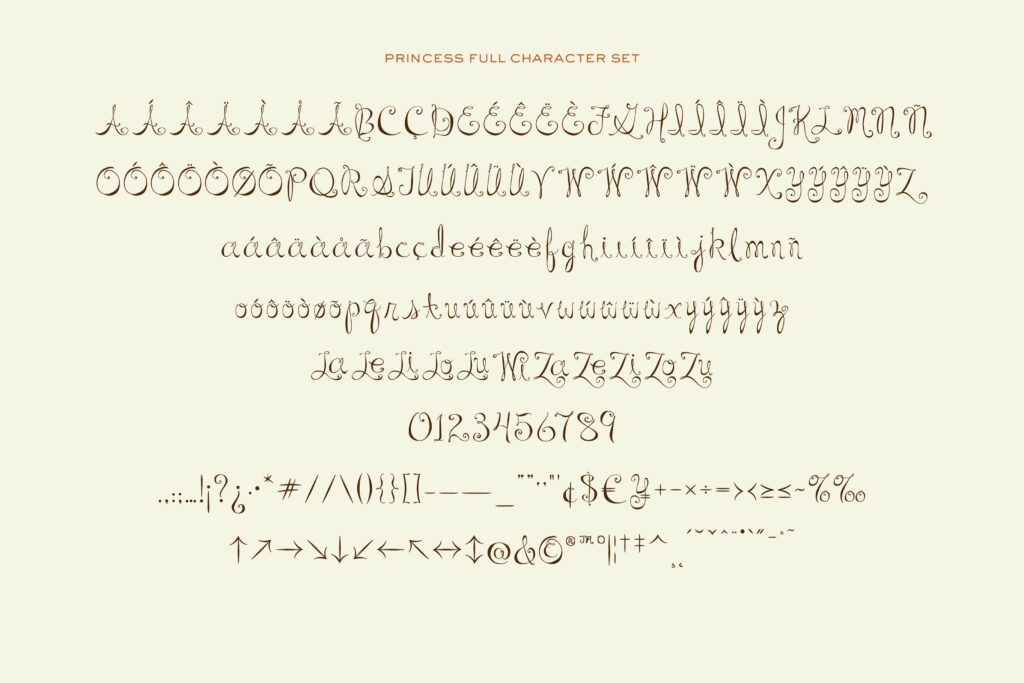 Princess – A Casual Script Font – MasterBundles