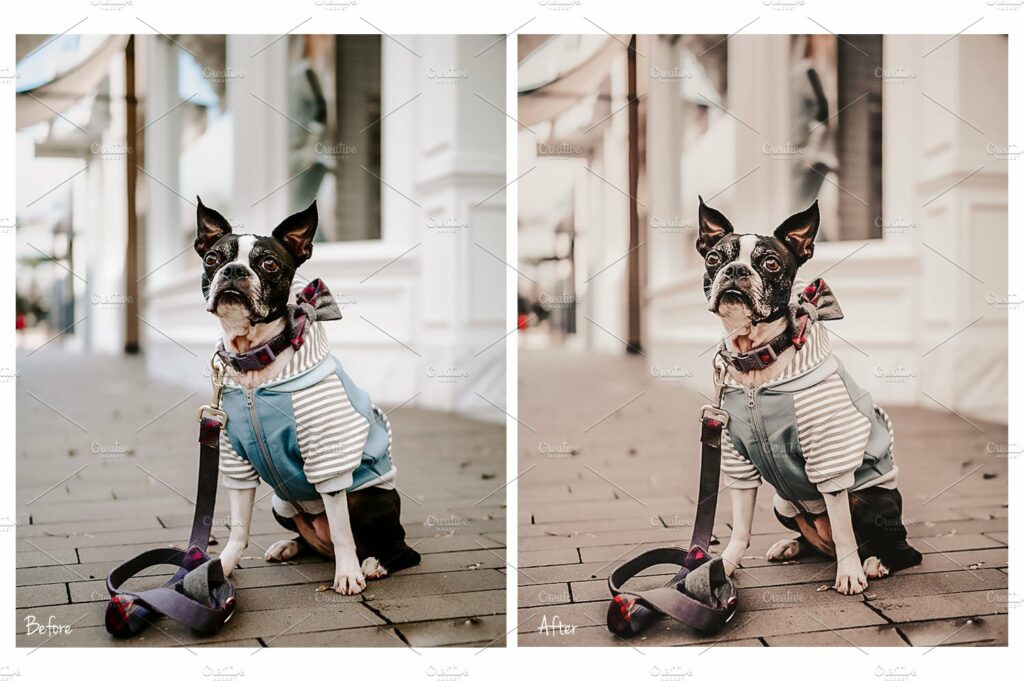 Alex Lightroom Preset – MasterBundles