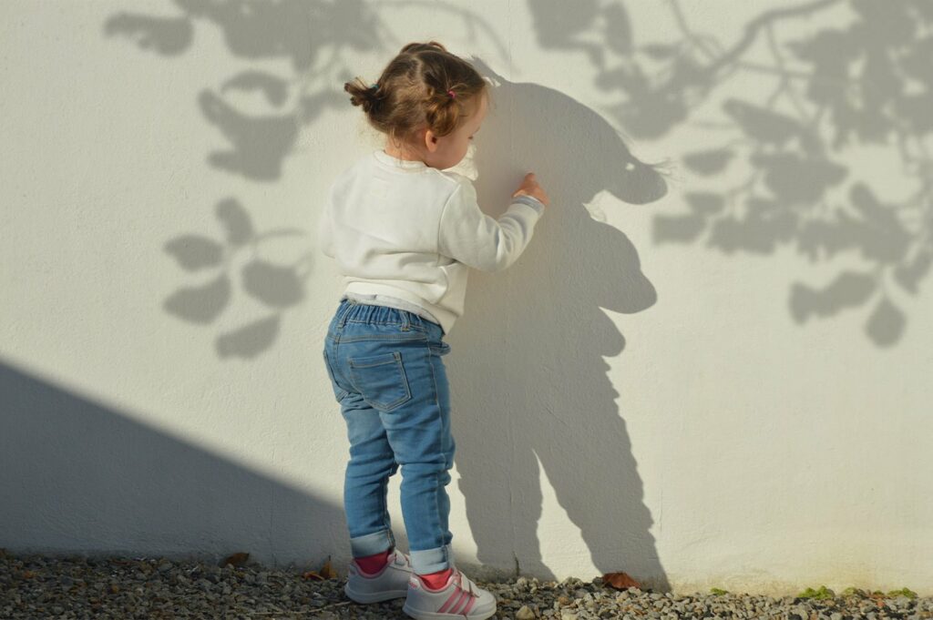 40 Plant Shadows Overlays – MasterBundles