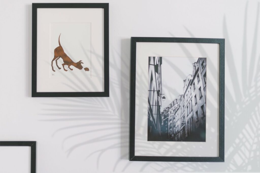 40 Plant Shadows Overlays – MasterBundles