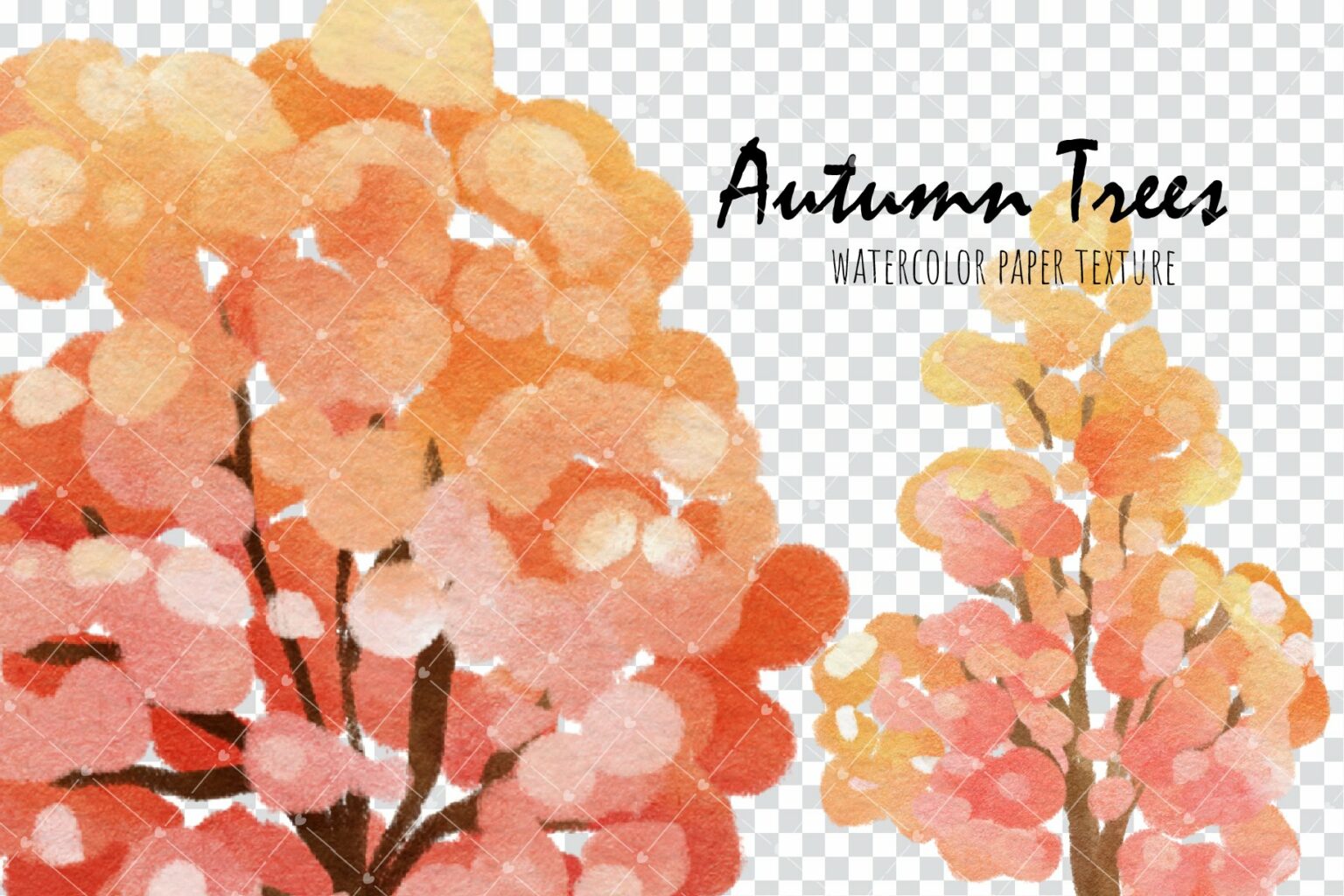 Autumn trees clipart – MasterBundles