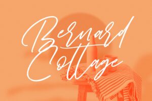 Queen Sheila Signature Script Font – MasterBundles