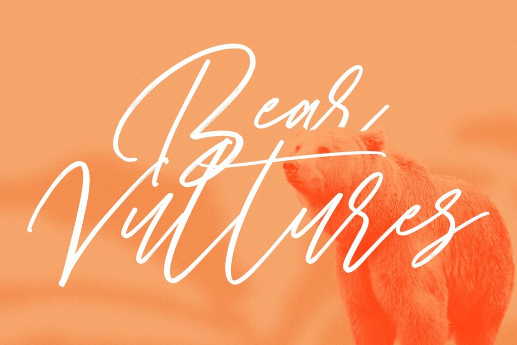 Queen Sheila Signature Script Font – MasterBundles