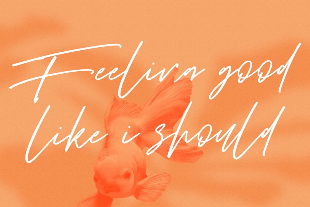 Queen Sheila Signature Script Font – MasterBundles