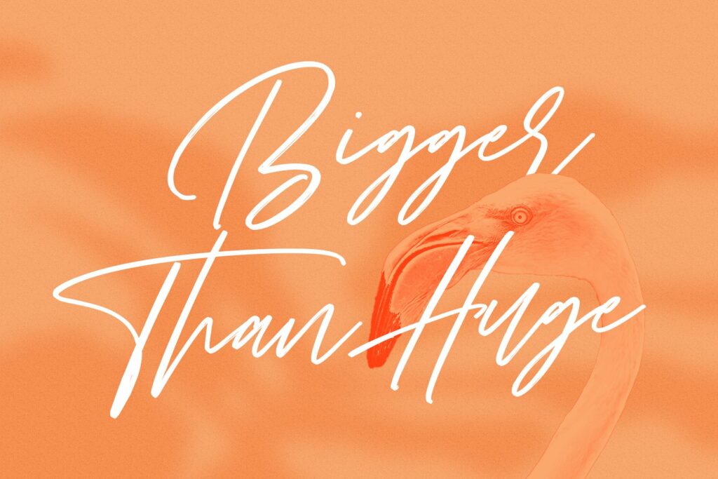 Queen Sheila Signature Script Font – MasterBundles