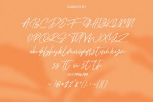 Queen Sheila Signature Script Font – MasterBundles