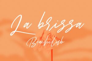 Queen Sheila Signature Script Font – MasterBundles