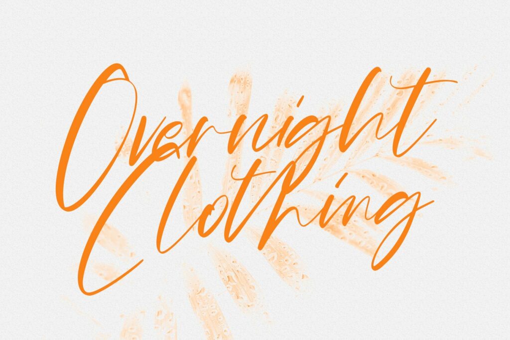 Quiny Alissa Signature Script Font – MasterBundles