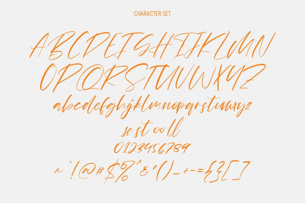 Quiny Alissa Signature Script Font – MasterBundles