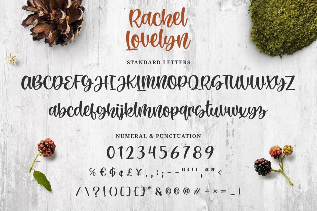 Rachel Lovelyn - Beautiful Script – MasterBundles