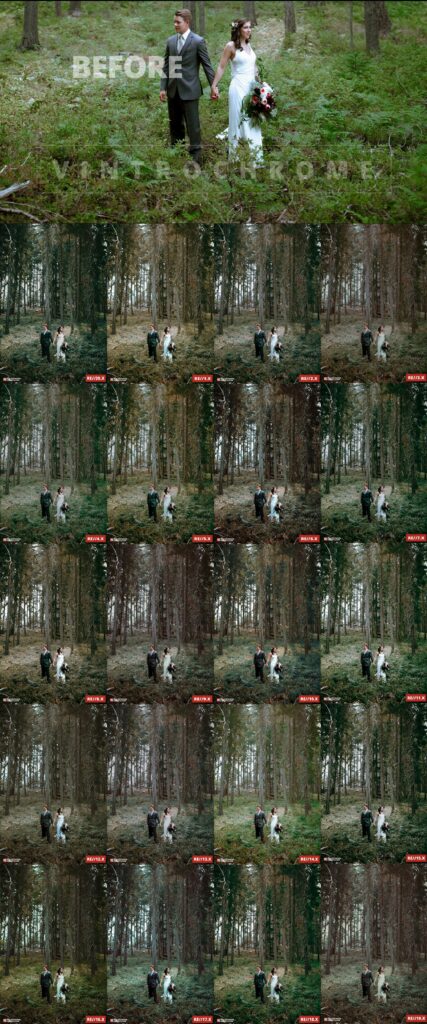 Vintrochrome 2.0 | Romance Essence – MasterBundles