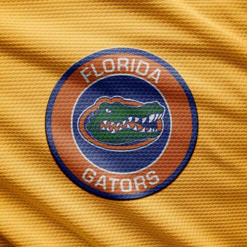 Florida Gators SVG Set - MasterBundles