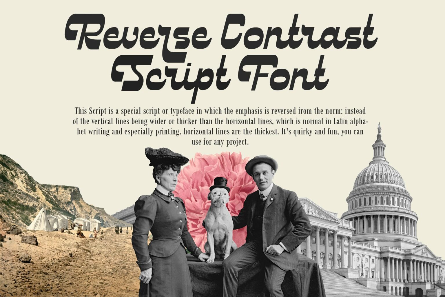 Retromax | Reverse Contrast Script – MasterBundles