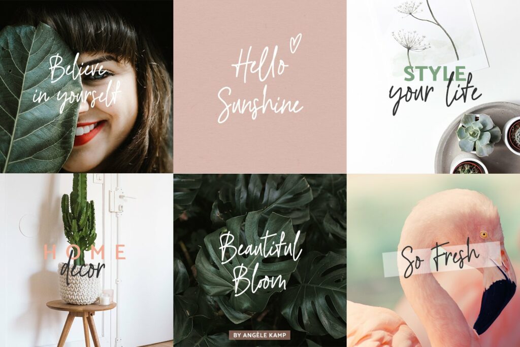 River Jade signature font & logos – MasterBundles
