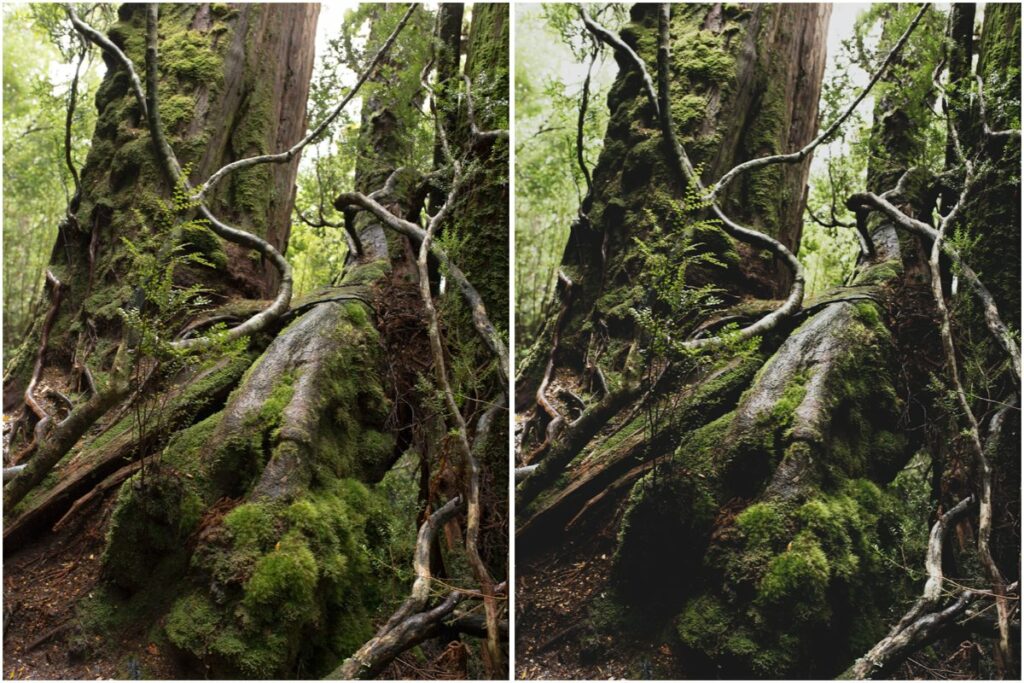 Adventure Series: Rugged LR Preset – MasterBundles